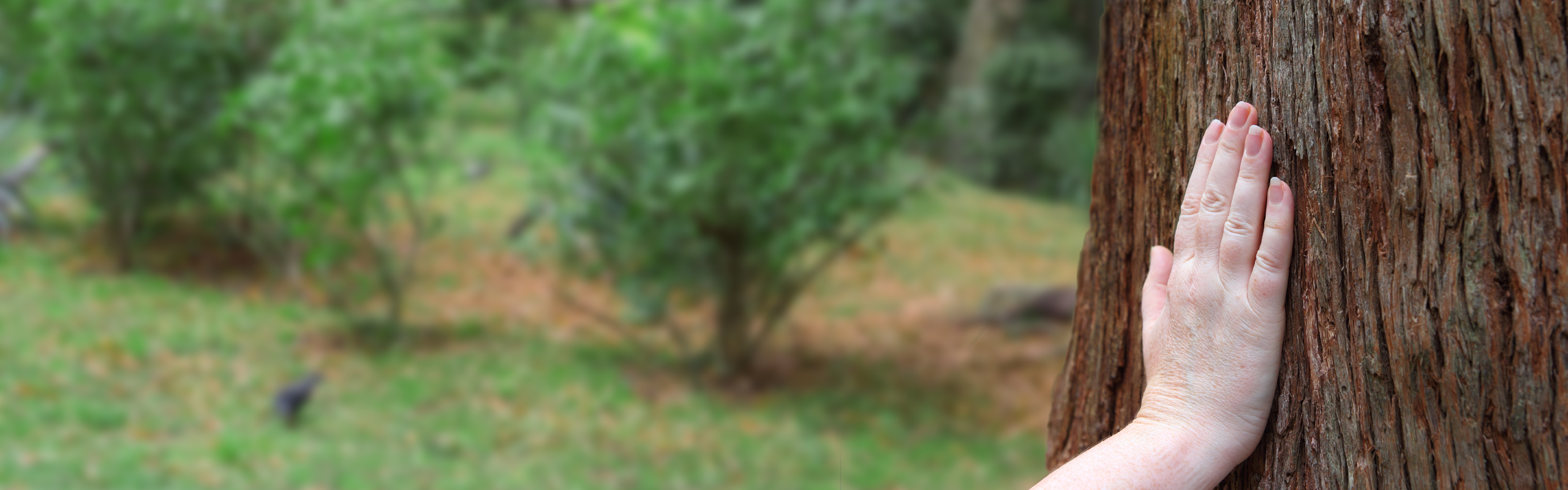 Connect With Nature to Connect With Yourself | eomega.org