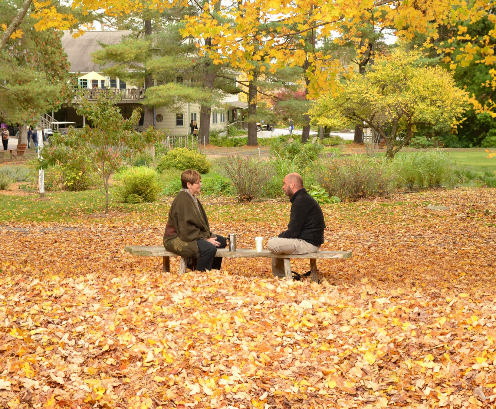 For Members October 2024 | Omega Institute